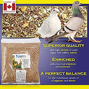 Hagen Pigeon & Dove Seed, Nutritionally Complete Bird Food 25 Pound (Pack of 1)