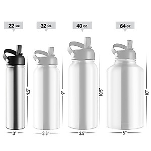 Brewberry Stainless Steel Insulated Water Bottle and Travel Mug for Hot and Cold Beverages, Wide Mouth, Double Wall Insulated Hydration Sports Water Bottle for Hiking, Biking, Outdoor, 22 OZ BPA Free