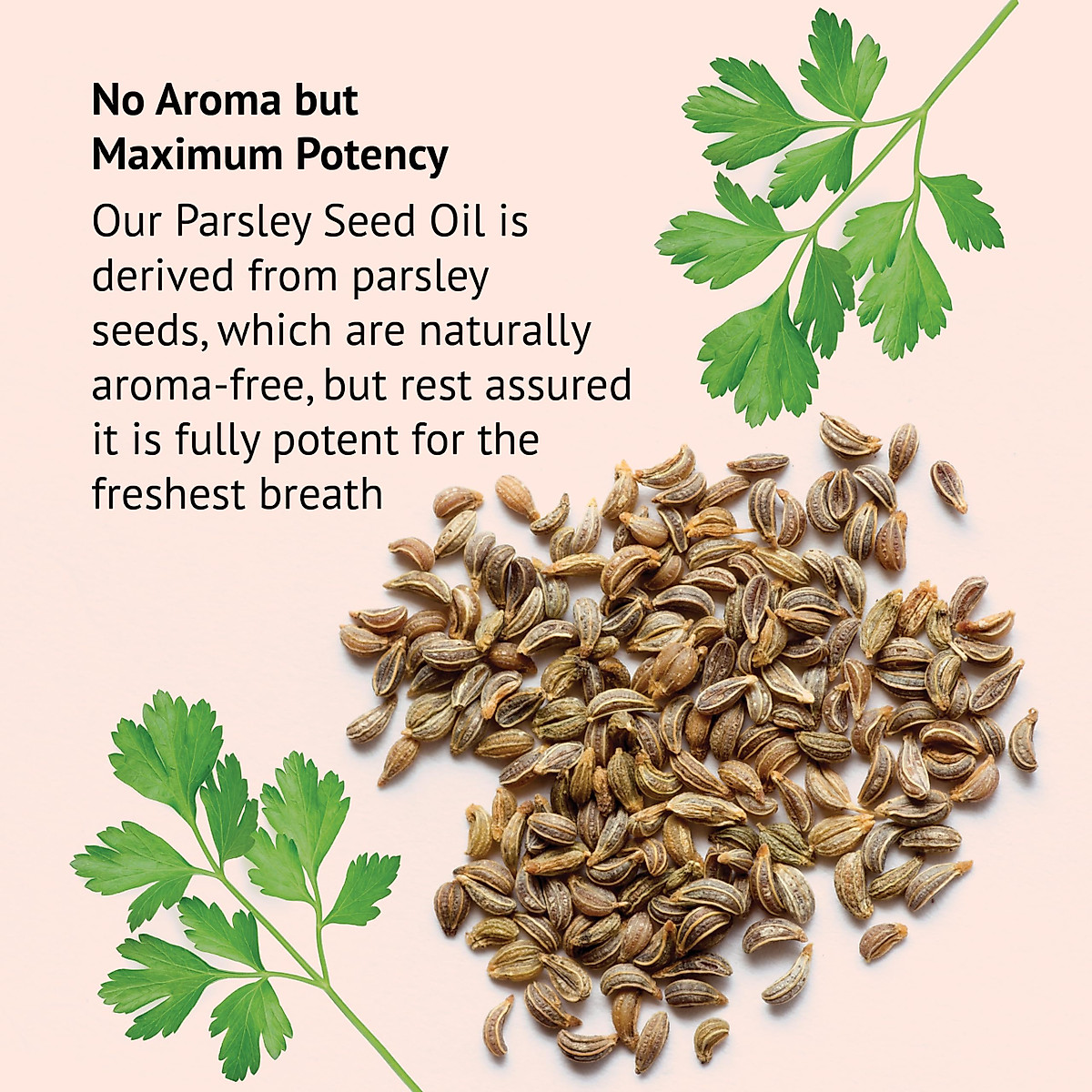 Botanic Choice Parsley Seed Oil-for Bad Breath from Odor-Causing Foods-Odor Neutralizer from Within-Breath Freshener gels-60 Softgels