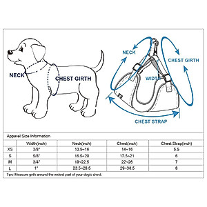 Blueberry Pet Essentials Reflective Better Basics Matching Dog Collar Leash Harness Set in French Blue, Adjustable Collar with Harness & 5 ft Leash for Medium Dogs