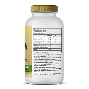 1-TDC WorksSoWell IP-6 Energy Immune Support Formula – 240 V-Caps – Helps Promote Healthy Bones – Total Body Health and Immunity