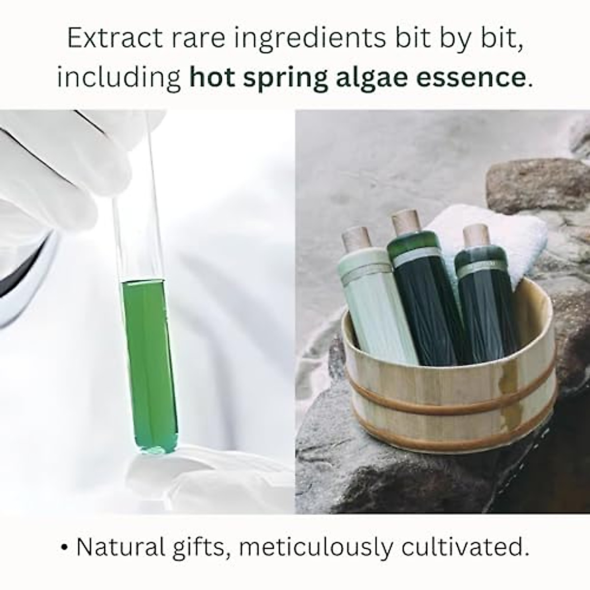 ONSENSOU Hot Spring Yeast & Green Algae Extract Shampoo, Rich & Luxurious Lather for Scalp & Hair Care, Moisturizing & Nourishing, Sulfate-Free, Organic & Skin-Friendly Formula, Mild, 10.1 fl oz