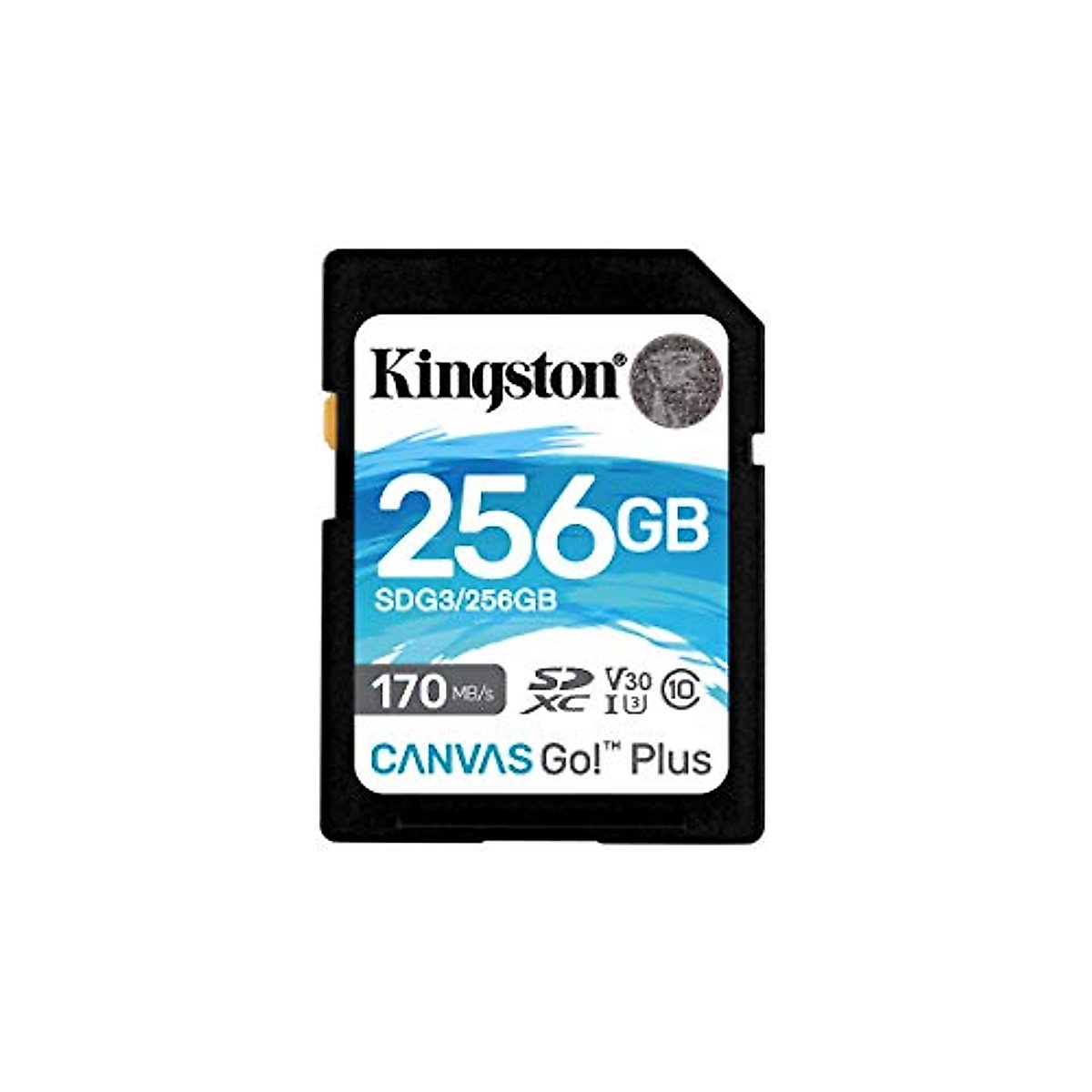 Kingston 256GB SDXC Canvas Go Plus 170MB/s Read UHS-I, C10, U3, V30 Memory Card (SDG3/256GB)