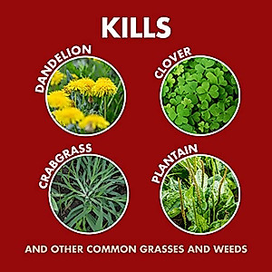 Spectracide Weed And Grass Foaming Edger 17 Ounces, Aerosol, For Edging Along Yards - pack of 12