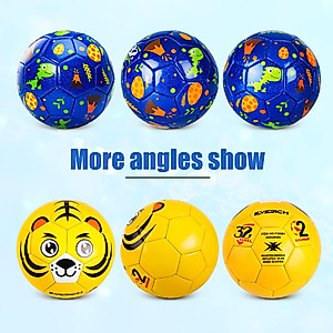 EVERICH TOY Pack of 2 Soccer Ball Size 2 Soccer Balls for Kids-Sport Ball for Toddlers-Backyard Lawn Sand Outdoor Toys for Boys and Girls,Including Pump