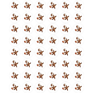 Beach Envelope Seals - 1.2" Circle Shells Stickers - 144 Circle Stickers (Shells)