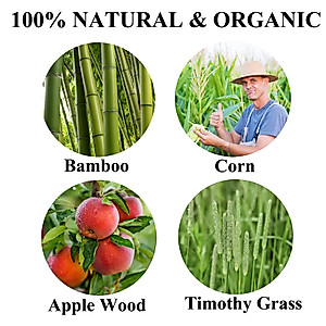 TANOMA Chew Treats Toys for Guinea Pig, Hamster, Rabbits, Chinchilla, Bunny, Small Animal Teeth Care