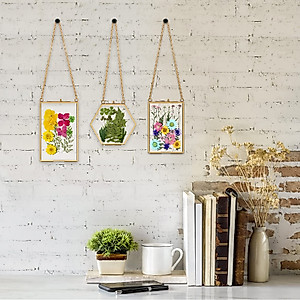 AVLA 3 Pack Pressed Flowers Glass Frames, Brass Hanging Picture Frames with Chain, Small Golden Floating Photo Frame, Clear DIY Artwork Display Frame for Wall Decor, Dried Plant Specimen