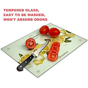 Tempered Glass Cutting Board Vector lemon seamless border stock illustration Tableware Kitchen Decorative Cutting Board with Non-slip Legs, Serving Board, Large Size, 15" x 11"