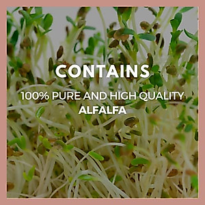 Remedy's nutrition Alfalfa 1,000mg Vegan Capsules Herbal Supplement - Non-GMO, Gluten Free, Dairy Free - Two Month Supply (60 Count)