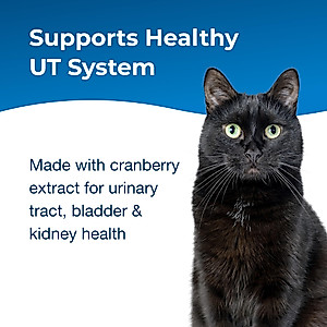 Pet-Ag UT Solution Gel Supplement for Cats - 3.5 oz - Supports a Healthy Urinary Tract for Cats 6 Months and Older
