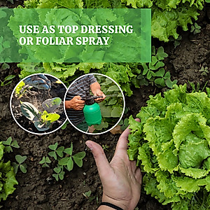 Pride Lands Defense - Organic Pest Control for Indoor & Outdoor Plants/Insect Repellent/Eliminate Mites, Gnats, Thrips, & Aphids/Safe for Pets & Children/Vegetable & Flowering Gardens, 5lb