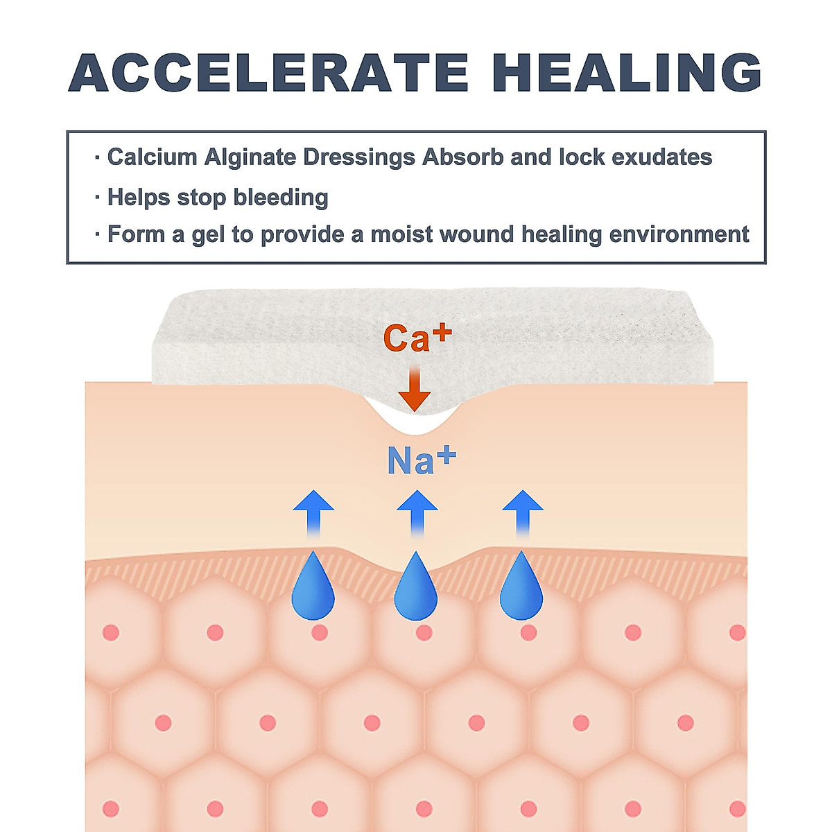 LotFancy Calcium Alginate Wound Dressing Pads, 4"x 4" Patches, 10 Pack, Non-Stick Padding, Highly Absorbent Dressing, Soft Comfortable Medical Wound Dressing for Skin Healing Support