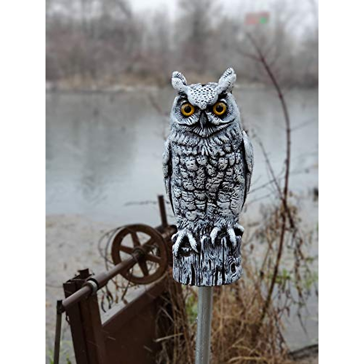 Dalen Fake Owl Decoy to Scare Birds Away from Gardens, Rooftops, and Patios - Scarecrow Provides Chemical-Free Pest Control - Safe and Humane, 16" Great Horned Owl - Snow White
