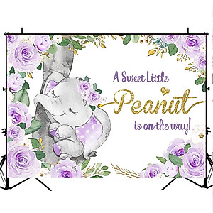 Avezano Purple Elephant Baby Shower Backdrop Lavender Floral Elephant Baby Shower Background A Sweet Little Peanut is on The Way Elephant Baby Shower Decorations for Girls (7x5)