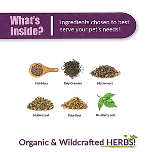 Amber NaturalZ TYD Thyroid Balance Herbal Supplement for Dogs, Cats, Birds, Guinea Pigs, and Rabbits | Herbal Pet Supplement for Thyroid Health | 1 Fluid Ounce Glass Bottle | Manufactured in The USA