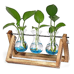 ONEPENG Propagation Stations,Birthday Gifts for Women,Home Garden Office Decor Plant Lover Gifts (3 Bulb Vase)