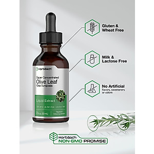 Horbäach Olive Leaf Extract Liquid | 2 fl oz | Vegetarian Drops | Alcohol Free, Non-GMO, Gluten Free Supplement