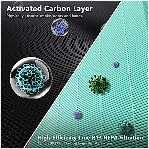 Vital 100S Toxin Absorber Replacement Filter for LEVOIT Vital 100S Smart WiFi Air Puri-fier, True 4-in-1 HEPA and High-Efficiency Activated Carbon Filter, Vital 100S-RF-TX (LRF-V102-GUS), 2Pack, Green