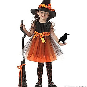 Dazzle Bright 6Pack Halloween Black Feathered Crows Decor, Holiday Decoration for Indoor Outdoor Home Yard Garden Party Carnival Supplies