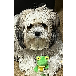 Glory To Dog TinyToy Green Frog Plush Dog Toy for Puppies and Small Dogs