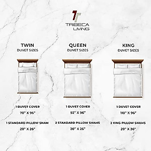 Tribeca Living VENICEDUVET Venice Velvet Oversized Solid Duvet Set, 3pieces, Queen, Burgundy