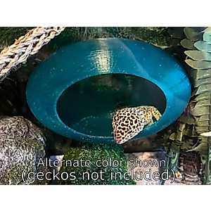 Stroodies Giant Bubbleloft Hide for Arboreal Geckos | Especially Adult Cresties | Includes 4X Suction Cups | (LeafGreen)