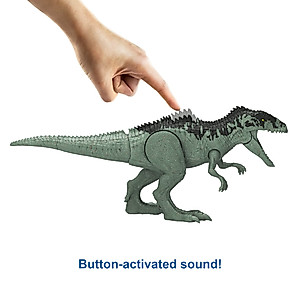 Jurassic World 12-in Dinosaur Figure, Strike & Chomp Action, Sounds, Movable Joints, Great Gift for Ages 4 Years Old & Up