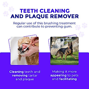 Dale Audrey Ayurvedic Brushing Treatment for Pets | Oral Hygiene Bad Breath Eliminator | Dog Breath Freshener for Teeth Cleaning | Tartar and Plaque Remover Dog Mouth Spray | (Beef)
