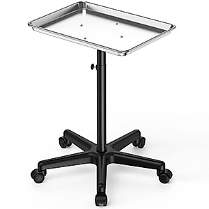 TASALON Budget Salon Tray on Wheels, Adjustable Height Premium Aluminum Tattoo Rolling Tray, Beauty Instrument Salon Rolling Tray Table with Wheels, Salon Cart for Hair Stylist Medical Dental Tray