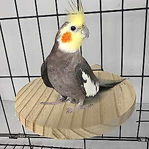 Hamiledyi 4 Pcs Natural Wood Hamster Stand Platform Rat Activity Playground Chinchilla Cage Accessories with Stainless Steel Washers for Bird, Parrot, Mouse, Gerbil and Dwarf