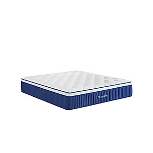 Chiusyufuk Queen Mattress,10 Inch Queen Size Mattress in a Box,Single Bed Mattress with Memory Foam and Pocket Spring,Ergonomic Design & Pressure Relief,Medium Firm Mattress,60"*80"*10"