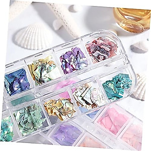 FOMIYES 9 Boxes Nail Glitter Flakes Nail Art Sticker Nail Encapsulation Accessories Manicure Stickers Manicure Accessories Nail Drill bits Nail Stamper Nail Gel Flake 3D Carapace Charm