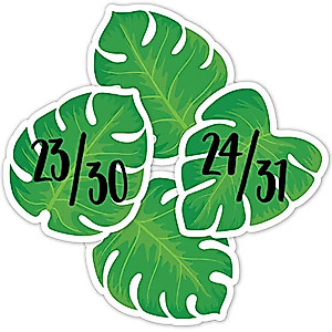 Creative Teaching Press Palm Paradise Monstera Leaves Calendar Days (10251)