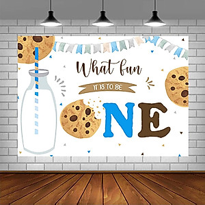 Lofaris What Fun It is to Be One 1st Birthday Party Backdrop Cookies and Milk Colorful Theme Happy Birthday Background Boys First Birthday Party Decorations Cake Table Photo Booth Props Banner 5x3ft