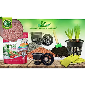 Muriate of Potash 0-0-60 Fertilizer Made in USA - MOP Potassium Plant Food for Indoor/Outdoor Plants & Organic Gardens – Promotes Big Blooms! Fruit, Vegetables, Holistic Herbs, Trees