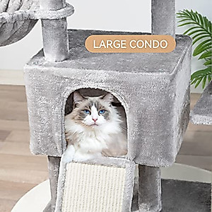 Hawsaiy Multi Level 58 inch Cat Tree Tower for Indoor Cat Kitten Furniture Condo Activity Center Play House with Scratching Sisal Posts Pad,Hammock,Ladder Beige (58", Grey)
