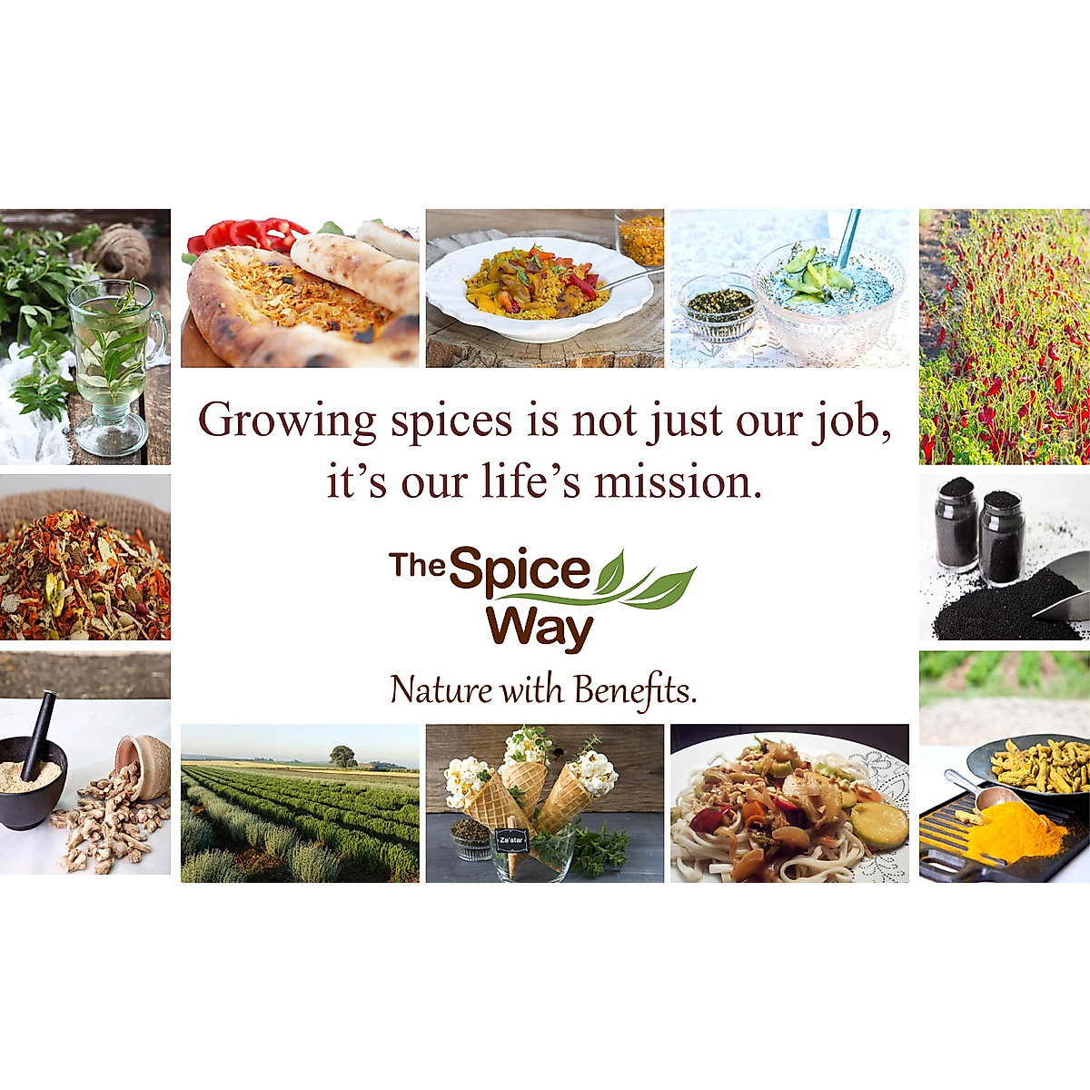 The Spice Way Cardamom Ground - (4 oz) Ground Green Decorticated Cardamom Kosher by OK