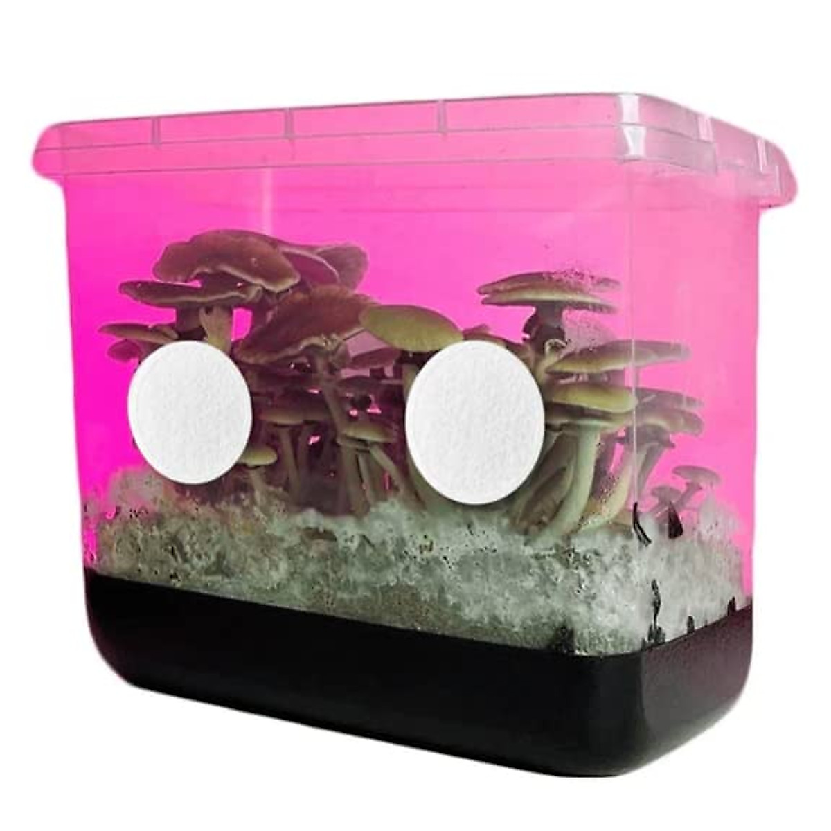 2" Adhesive Waterproof Monotub PTFE Membrane Disc Filters (1 Sheet - 6 Filters)