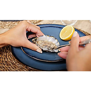 Specialty Oyster Forks Set of 6 Stainless steel 18 10 Center fork crafted into a knife