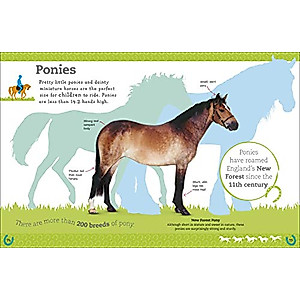 The Everything Book of Horses and Ponies (Everything About Pets)