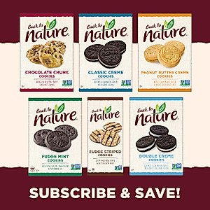 Back to Nature Chocolate Chunk Cookies - Dairy Free, Non-GMO, Made with Wheat Flour, Delicious & Quality Snacks, 9.5 Ounce