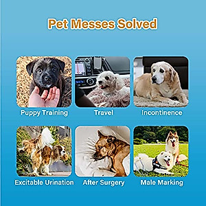 All-Absorb A26 Male Dog Wrap, 50 Count, Small