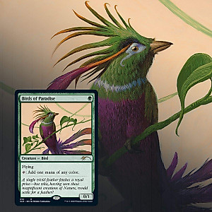 Magic: The Gathering Secret Lair: MTG Summer Superdrop Ornithological Studies
