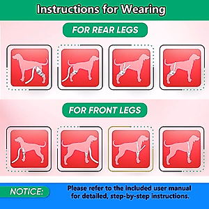 Premium Dog ACL Knee Brace for Torn ACL Hind Leg Support - Cruciate Care & Recovery, Adjustable Leg Braces for Back Leg, Hip Support - Small, Medium, Large Sizes with Extra Stabilizers (Black, L)