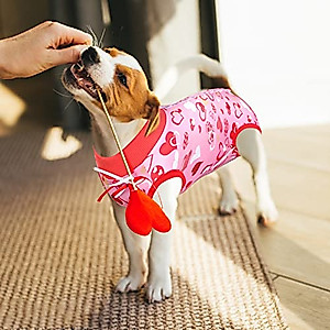 ASENKU Valentine's Day Dog Onesie Pet Pajamas, Dogs Recovery Suit for Dogs Cats After Surgery, Dog Pajamas Outfit Bodysuit for Small Medium Large Dog Cat Costume (Valentine's Day, 2XL)