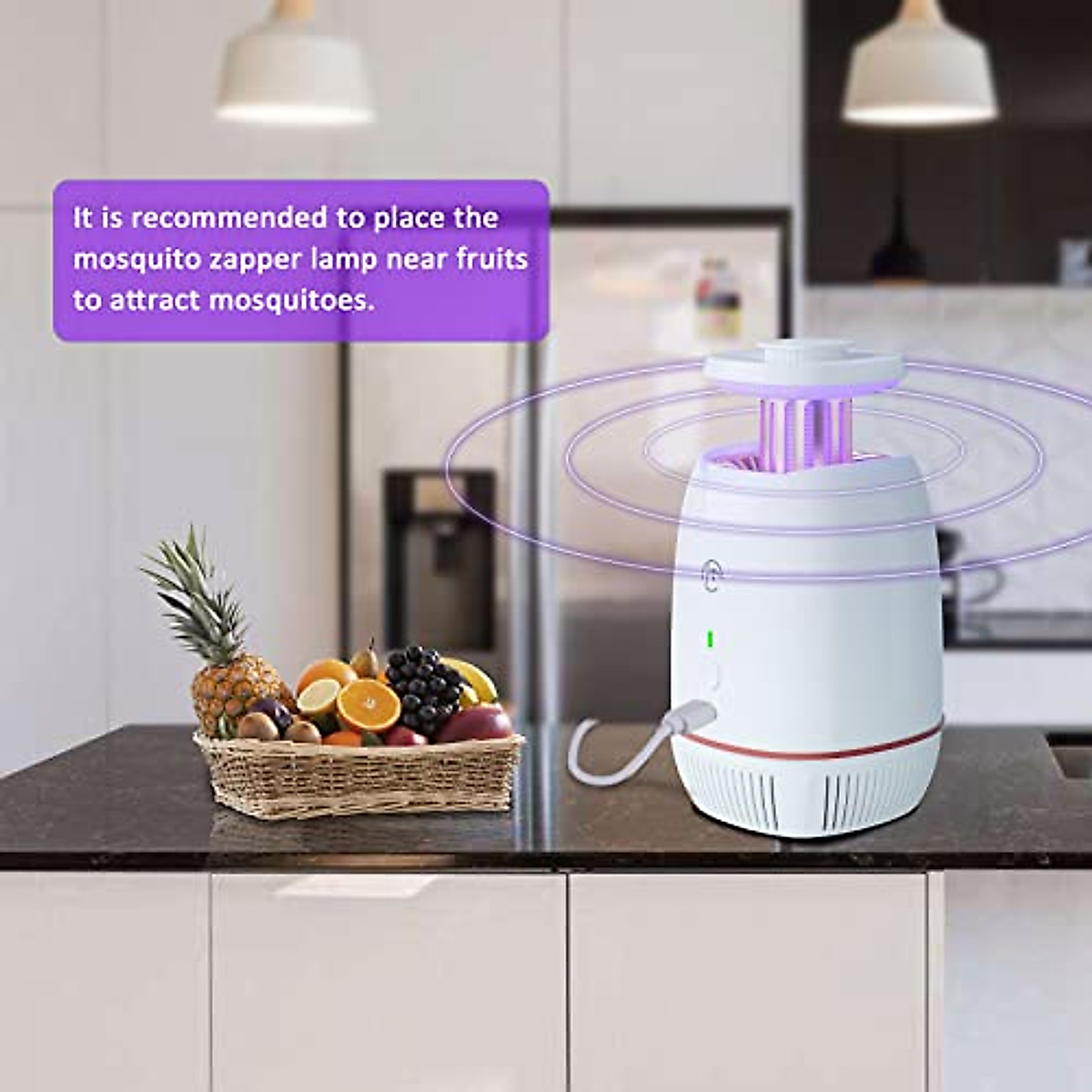 Careland Plug in Mosquito Zapper Lamp Indoor Use Electric Bug Zapper Fly Insects Trap with UV Light Attractant