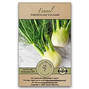 Gaea's Blessing Seeds - Fennel Seeds (2.0g) - Non-GMO Seeds with Easy to Follow Planting Instructions - Herb Seeds 85% Germination Rate