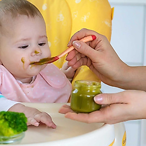 15 Oz Portable Blender Optional Double Cup(Big+Small),USB Rechargeable with 10-Blades, Blender for Shakes and Smoothies, Complementary Food,Crush Ice,Stainless Steel Blades,For Outdoor and Travel