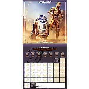 Star Wars Calendar 2024 (Classic Design) - Month to a View Planner 30cm x 30cm - Official Merchandise